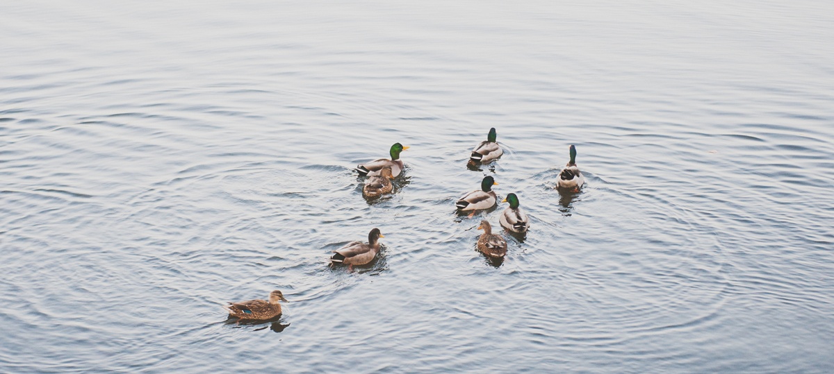 How to get your financial ducks in a row when selling your home.